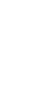 Horizon Trading Solutions: Simplified Electronic Trading Performance